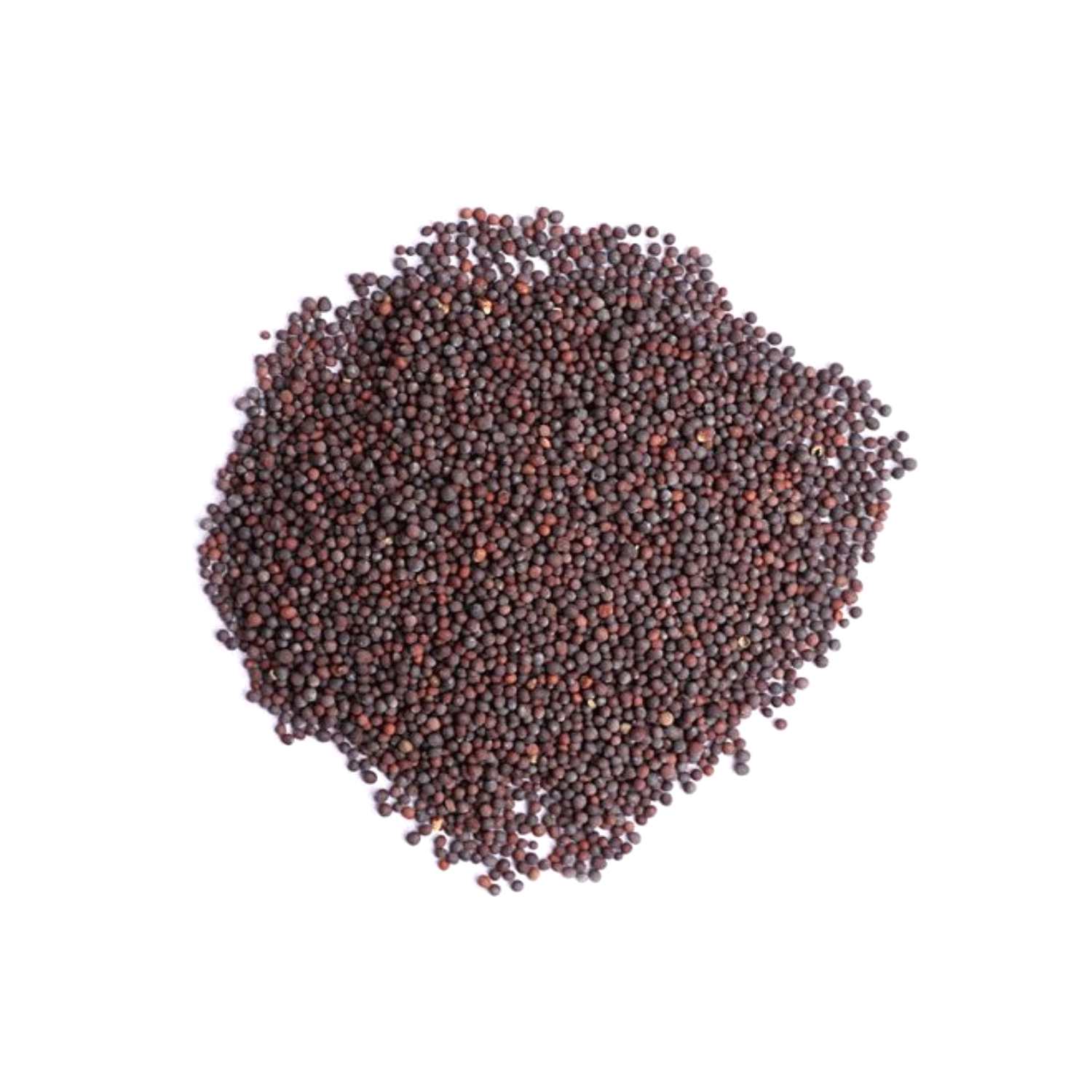 Mustrad Seeds – treeoflifeoman